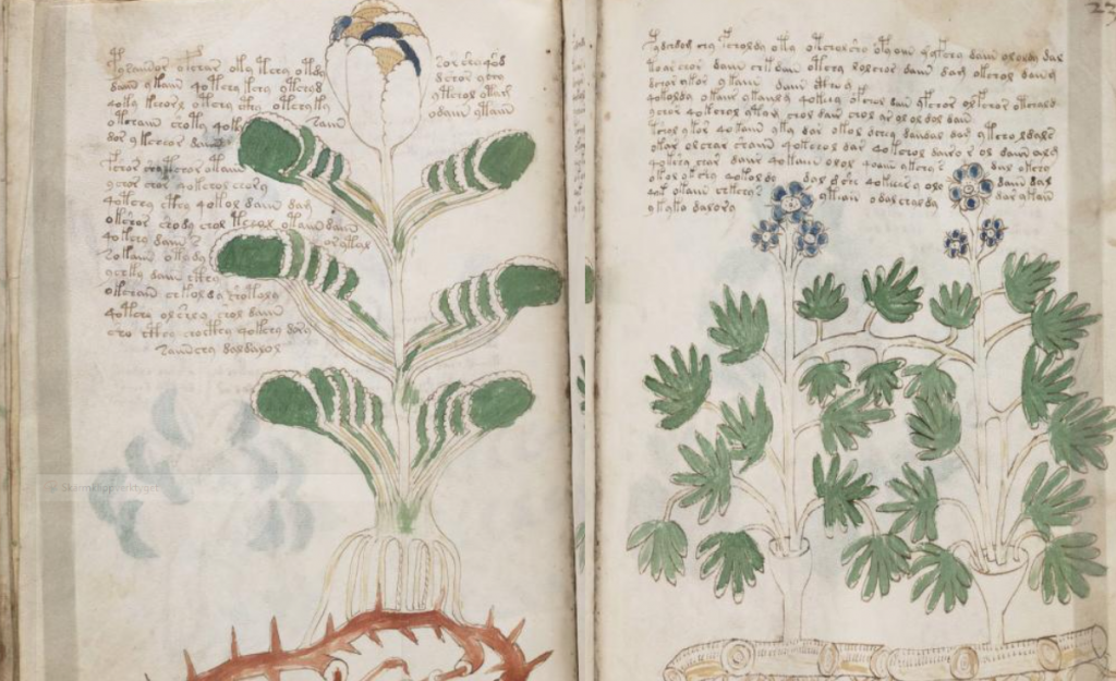The Voynich Manuscript: Decoding the World's Most Mysterious Book ...